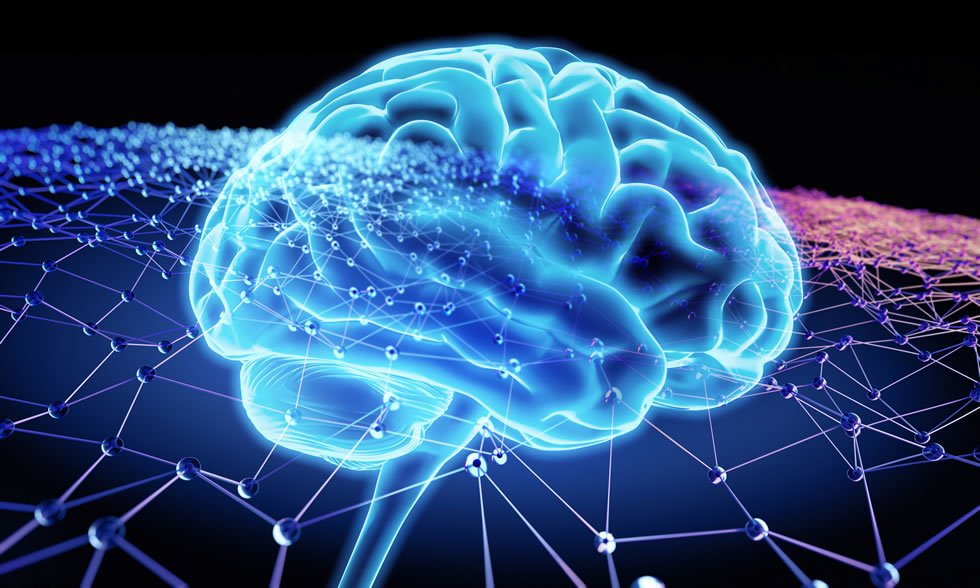 brain-network | The Daily Campus