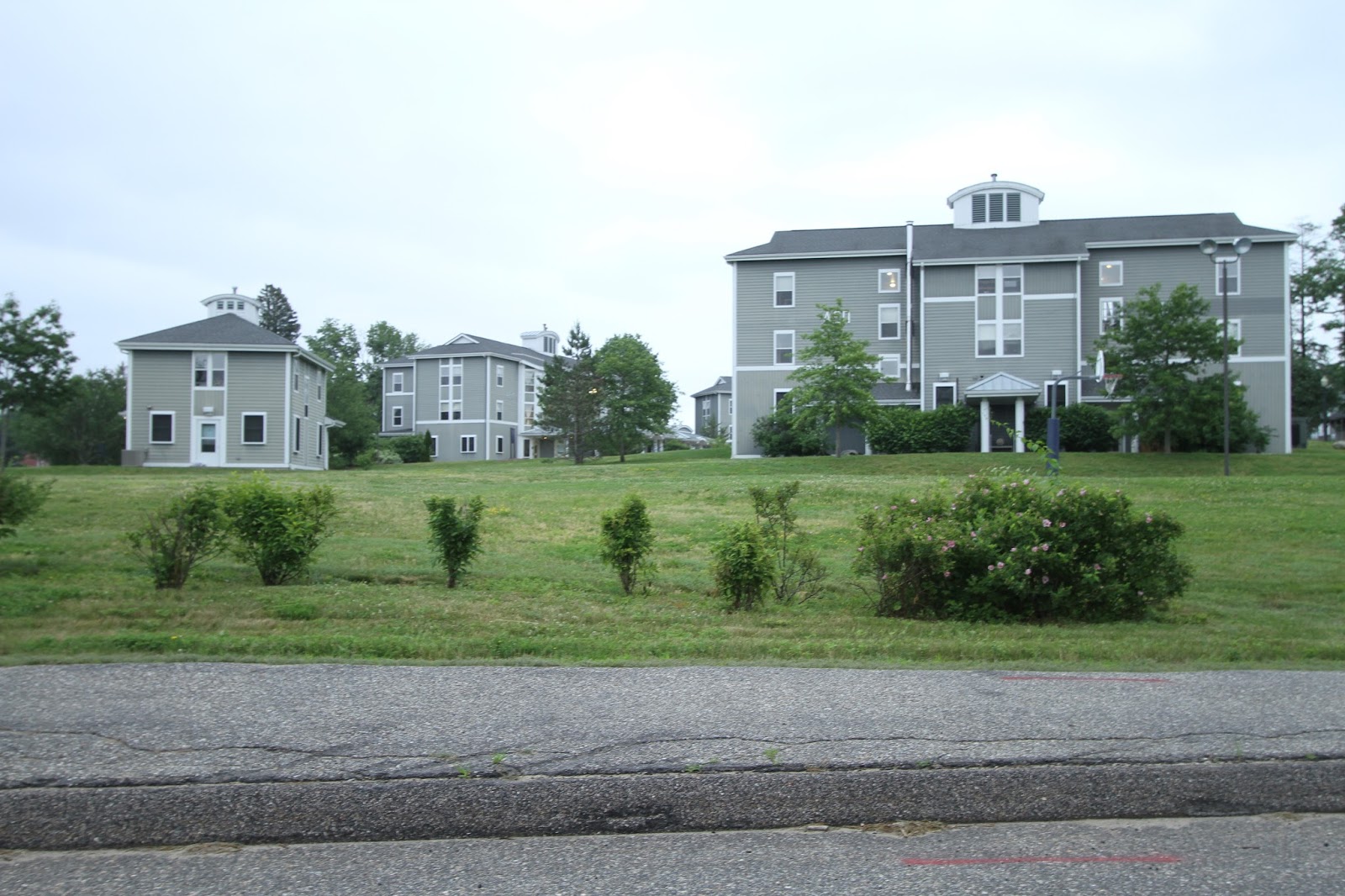 greek | The Daily Campus