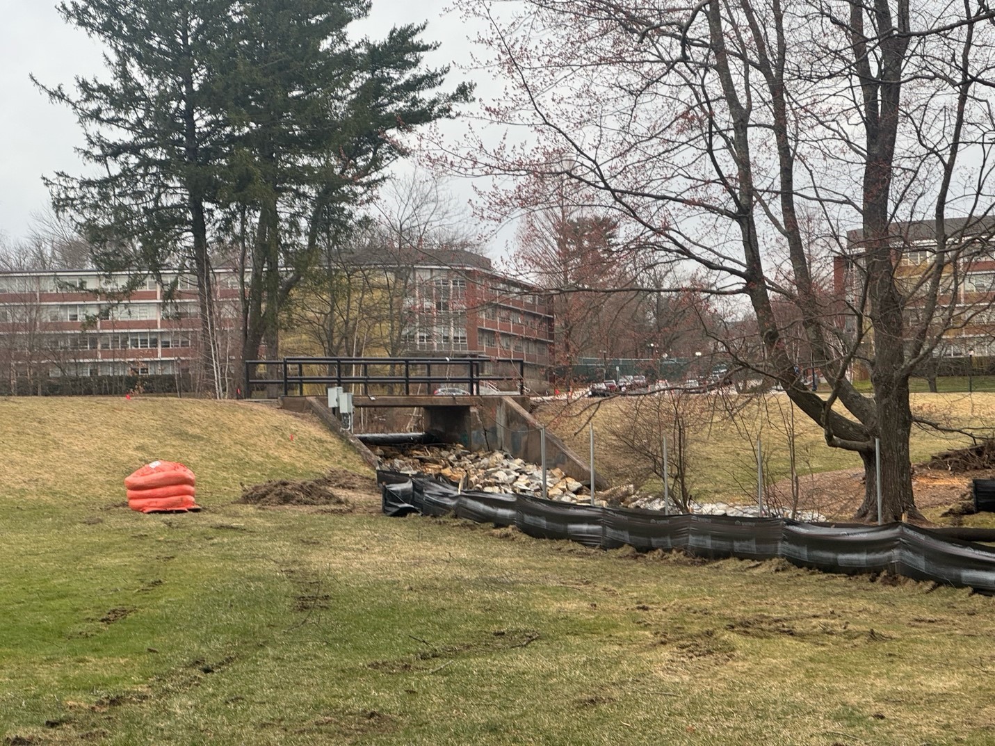 image | The Daily Campus